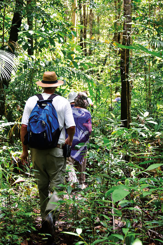The Wana Wanderers of Sulawesi - NOW! Jakarta