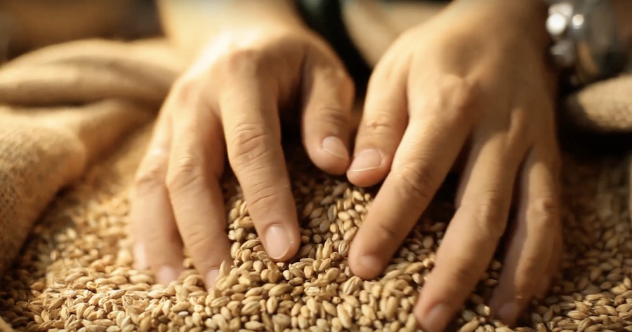 Island Brews: Bali’s Very Own Spirits - NOW! Jakarta