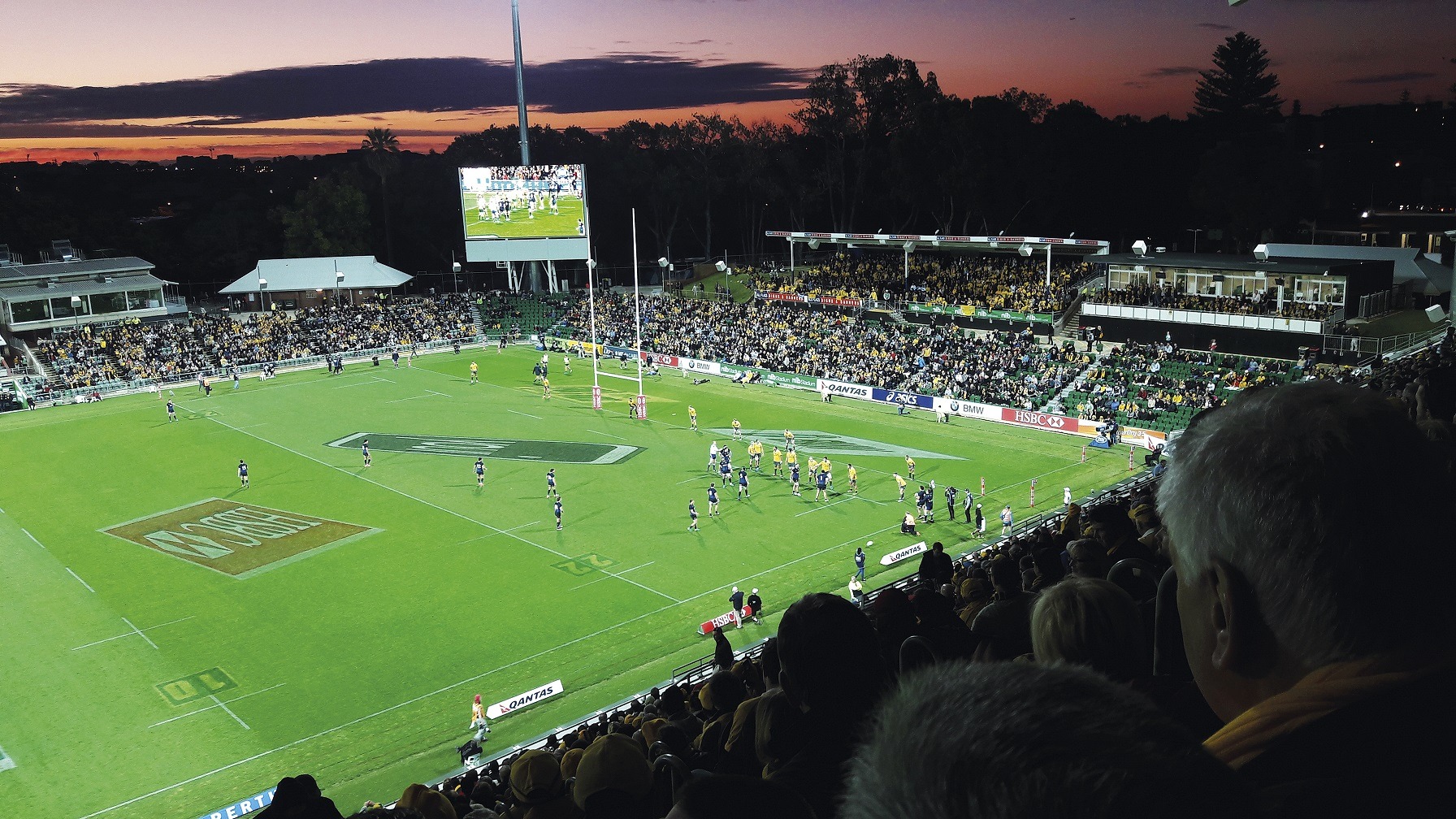 Wallabies Waltz in Perth - NOW! Jakarta