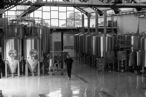 Locally Brewed: Indonesia's Craft Beer Scene - NOW! Jakarta