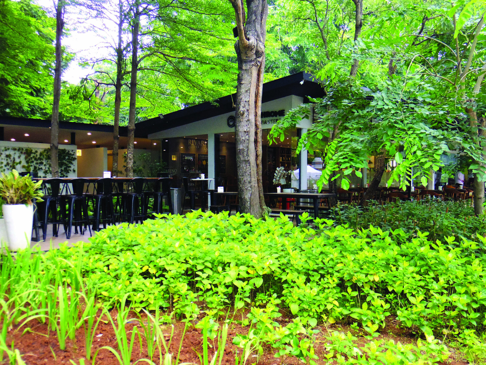 Urban Forest Cipete: A Haven of Green in the City - NOW! Jakarta