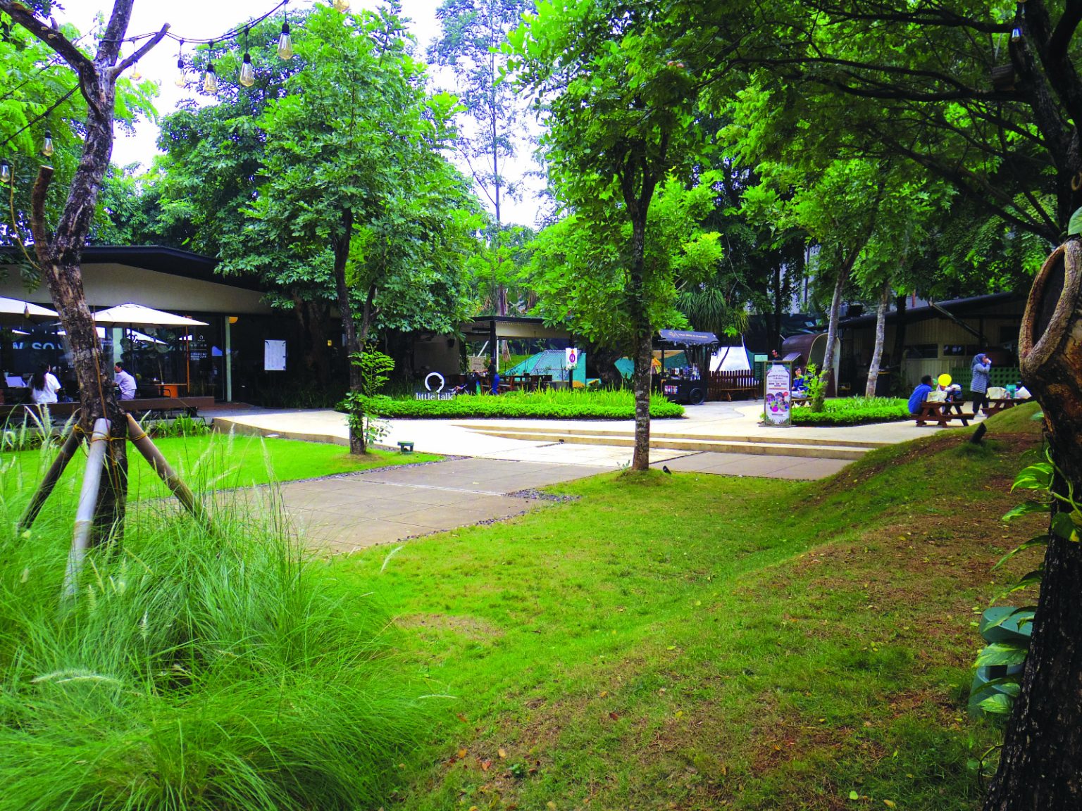 Urban Forest Cipete: A Haven of Green in the City - NOW! Jakarta