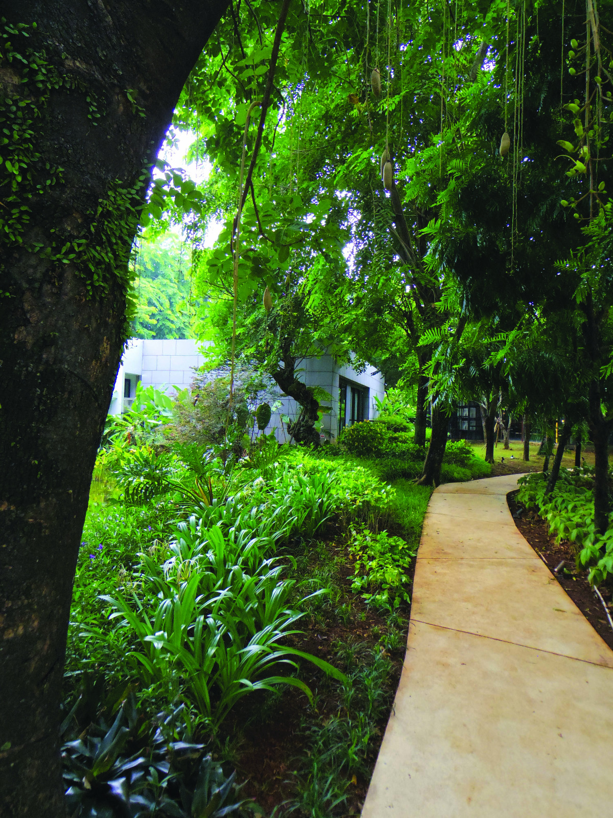Urban Forest Cipete: A Haven of Green in the City - NOW! Jakarta