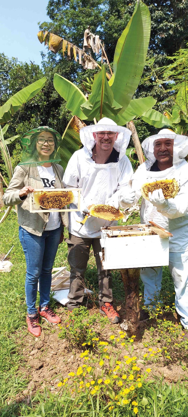 Beema Honey: Cultivating the Health Benefits of Indonesia's Wild Bees ...