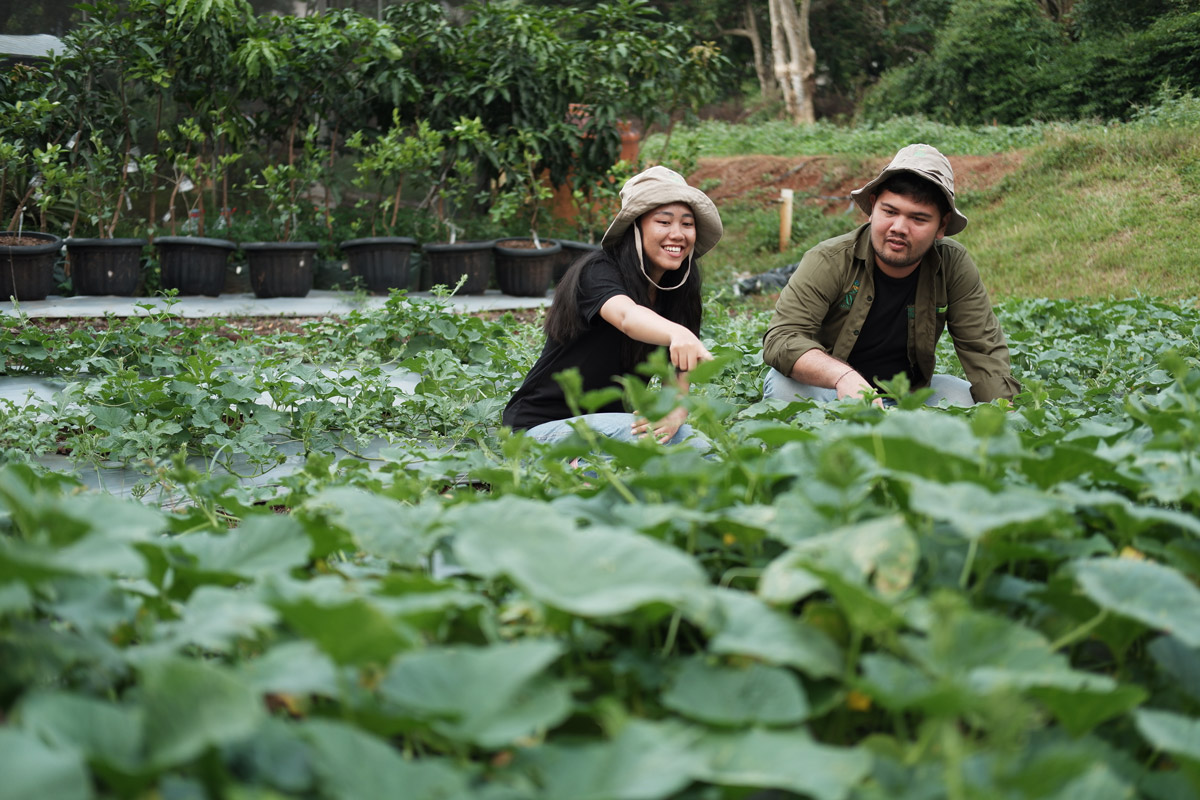 Young Indonesians Inspire New Farmers | NOW! Jakarta